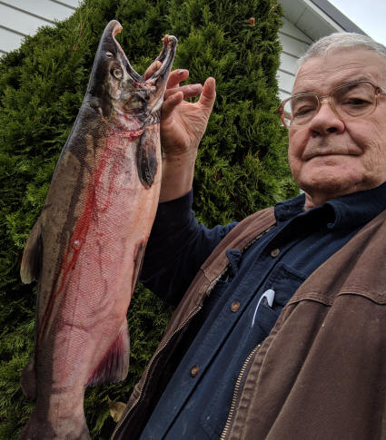 Chehalis River Salmon Fishing upper river